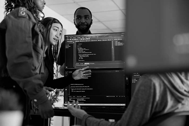 Risks of DIY software development | Monolith